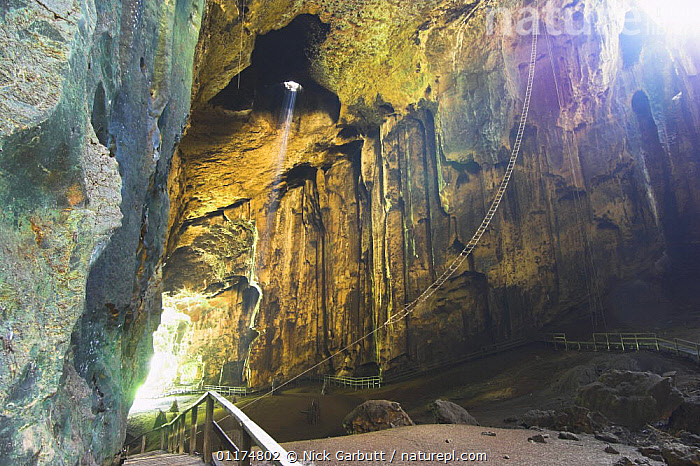 Stock photo of Main chamber, Gomantong Cave, Sabah, Borneo. Available ...