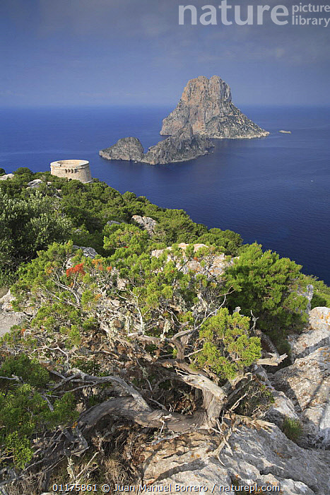 Stock photo of Coastal view from Ibiza, with Es Savinar tower and small ...