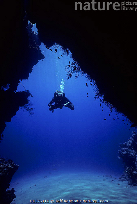Stock photo of Diver entering cave. Egypt, Red Sea. Model released ...
