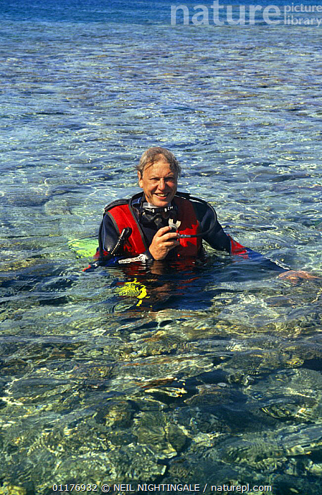 Stock photo of Sir David Attenborough in scuba diving equipment on ...