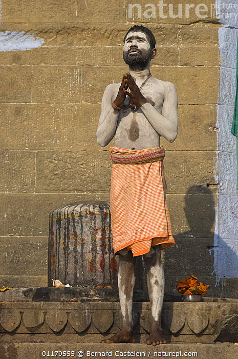 Stock photo of Sadhu / holy man praying, Varanasi, Uttar Pradesh, India ...