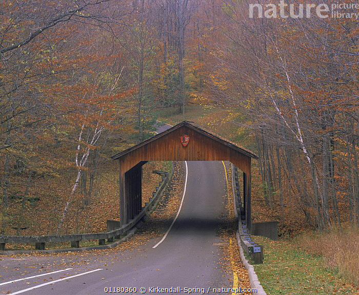 Stock photo of Covered bridge on Pierce Stocking Scenic Drive, Sleeping ...
