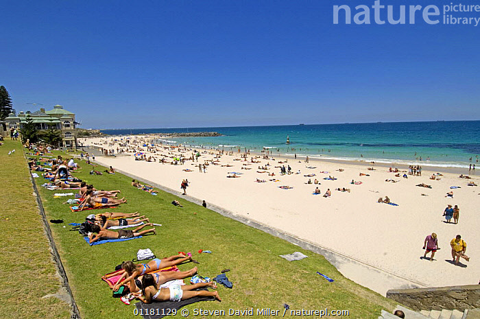 Stock photo of People sunbathing on Leighton Beach, Perth, Western ...