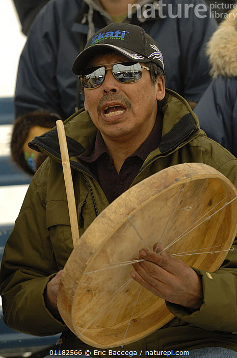 Stock photo of Dene man singing traditional song and playing Dene Hand ...