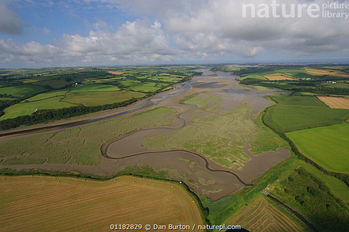 Stock photo of Aerial view of River Camel inland from Padstow, Cornwall ...