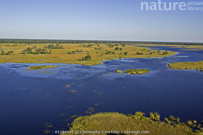 Stock photo of The Okavango River penetrates the flood plain of the ...