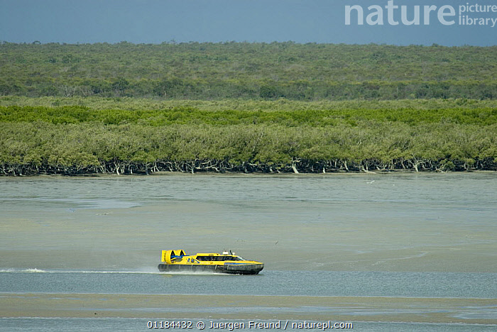 Stock photo of Hovercraft and mangrove swamps, Broome, Western ...