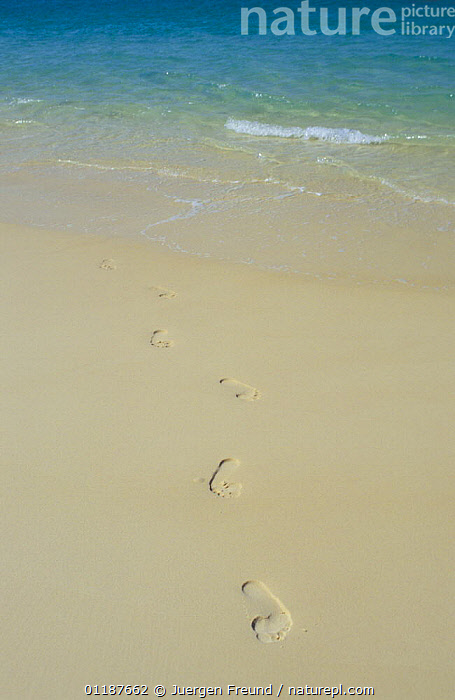 Stock photo of Human Footsteps coming out of the sea on Whitehaven ...