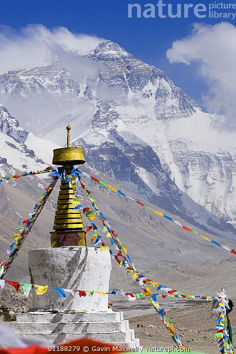 Stock photo of Rongbuk monastery with Mount Everest in background ...