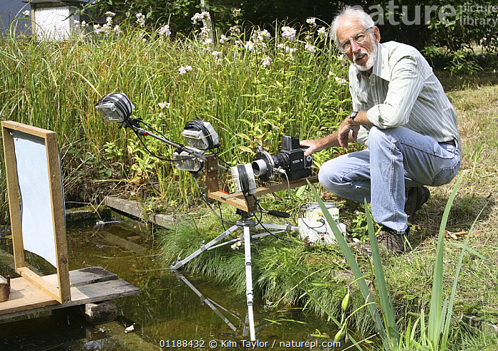 Stock photo of Photographer Kim Taylor setting up a fully automated ...