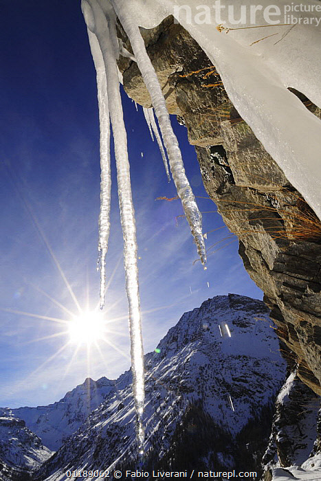Stock photo of Sun shining behind melting icicles, Valsavaranche valley ...