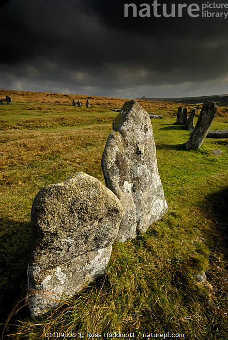 Stock photo of Scorhill stone circle, Scorhill, Dartmoor NP, Devon, UK ...