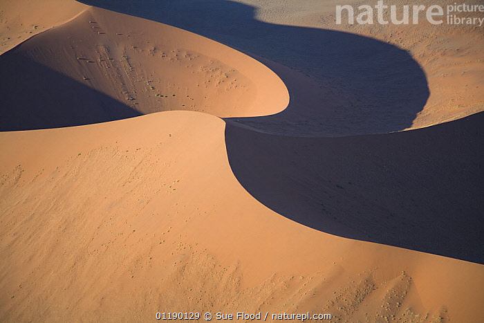 Stock photo of Aerial of a star dune in the Sossusvlei sand-dunes ...