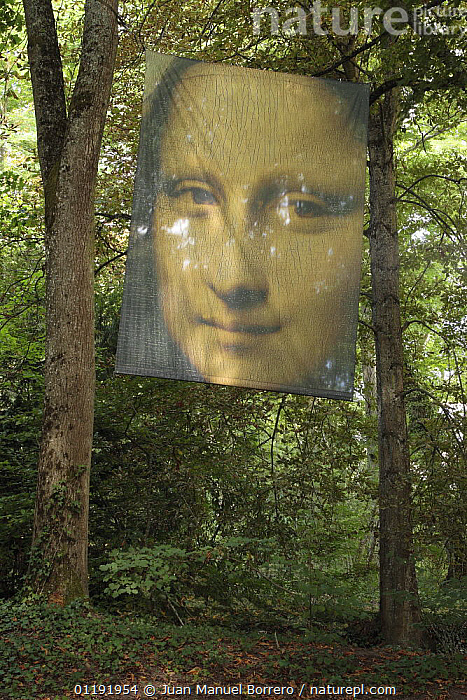 Stock photo of Part of Mona Lisa painting enlarged and hanging between ...