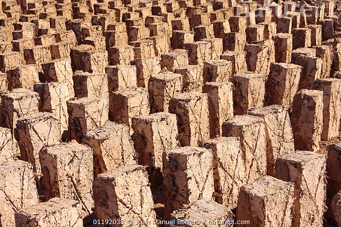 Stock photo of Sun-dried bricks lined up in Morocco December 2007 ...