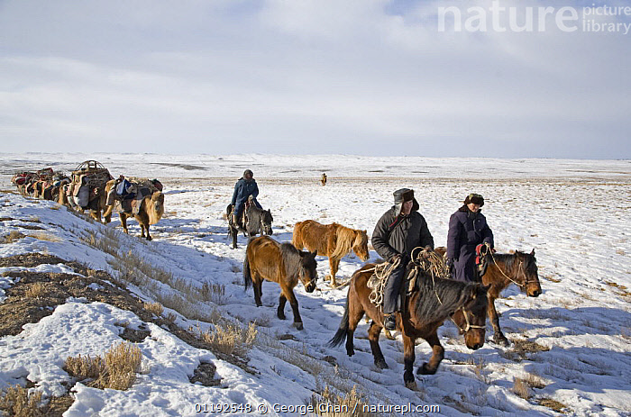 Stock photo of A Kazakh family following ancient migration routes ...
