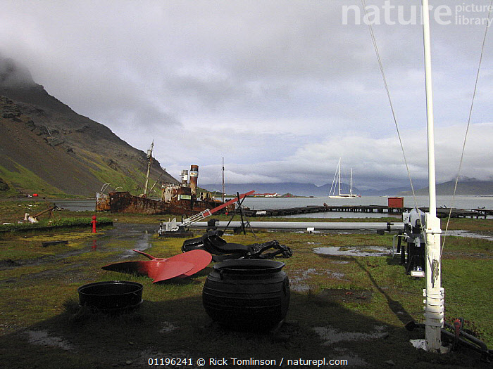 Stock photo of SY "Adele" anchored at King Edward Point, South Georgia ...
