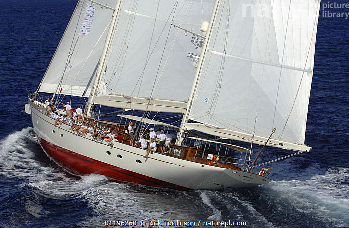 Stock photo of SY "Adele", 180 foot Hoek Design, at the Superyacht Cup ...