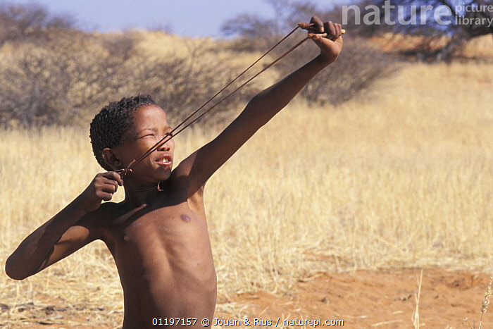 Stock photo of Young Bushman San with catapult, Bushmanland, Namibia ...