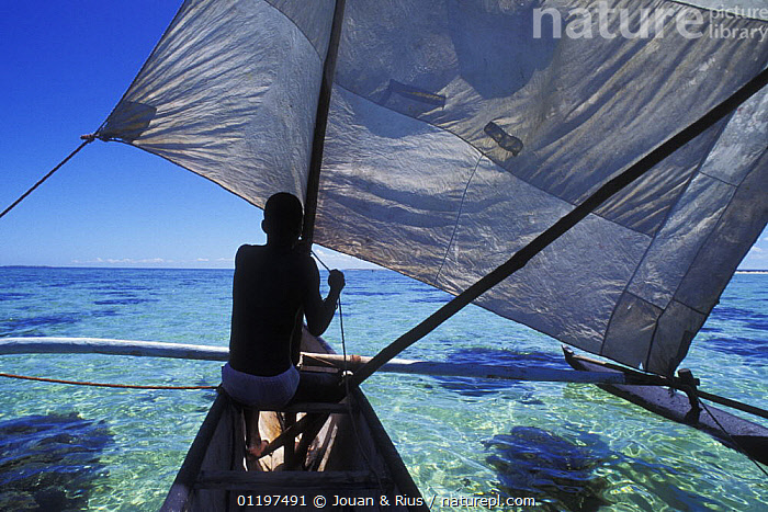 Stock photo of Vezo fisherman out at sea in a Pirogue / Outrigger canoe ...
