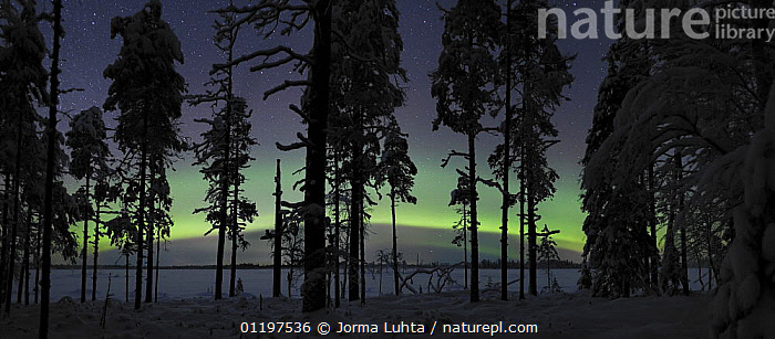 Stock photo of Northern lights, Aurora borealis with aurora arch viewed ...