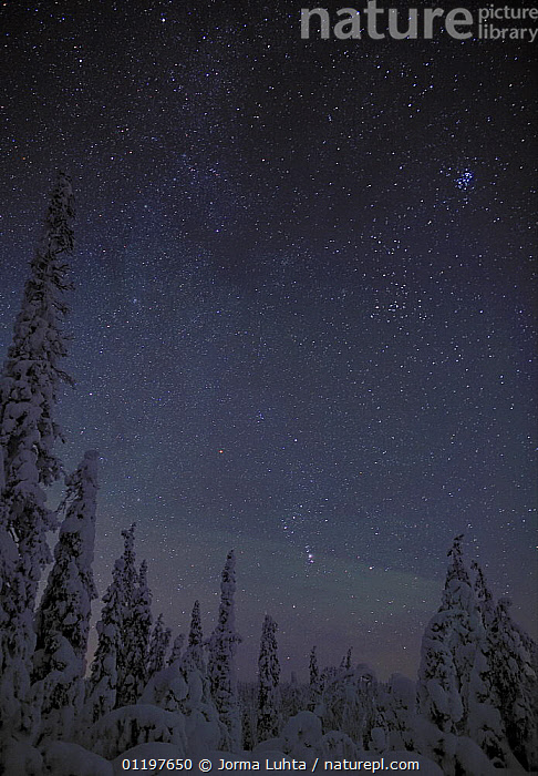 Stock photo of Stars shining on cold winter night, North Finland 2006 ...