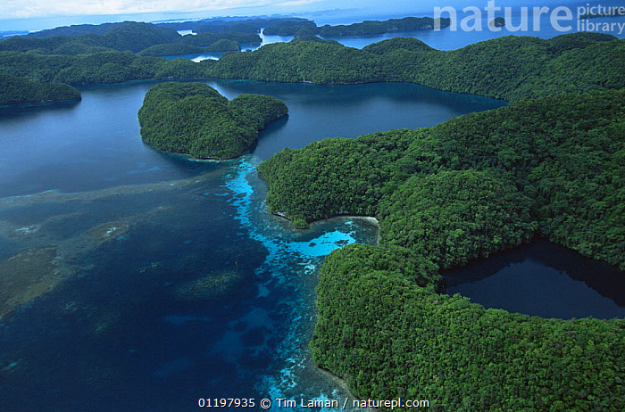 Stock photo of Aerial view of limestone uplifted islands covered in ...