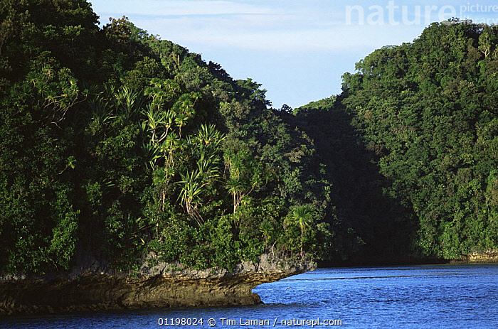Stock photo of Limestone uplift islands with edges undercut by the sea ...
