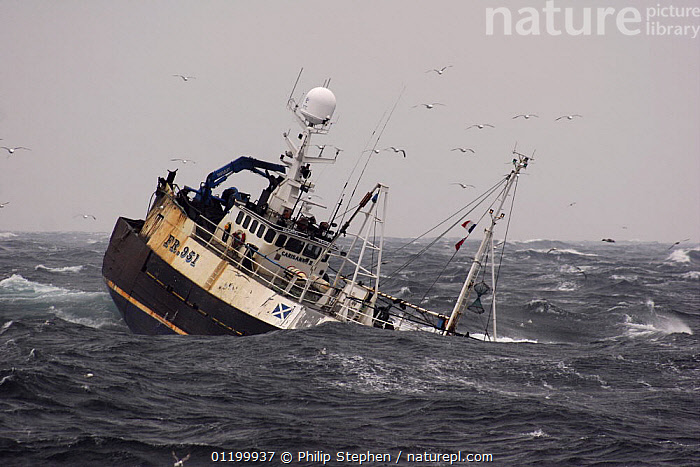 Stock photo of The Fraserburgh-registered fishing vessel Carisanne ...