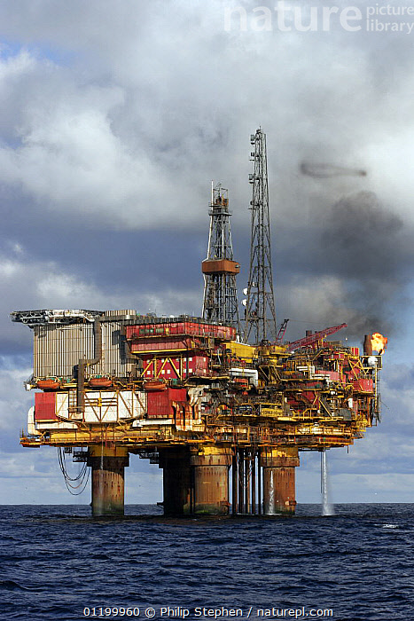 Stock photo of The Cormorant Alpha production platform, situated in the ...