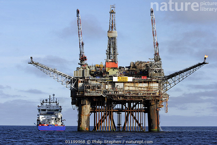 Stock photo of A dive support vessel alongside the Ninian Southern ...