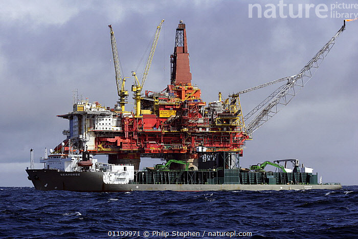 Stock photo of The rock dumping vessel Seahorse covers a subsea ...