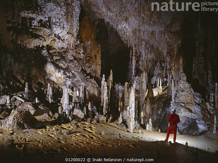 Stock photo of Potholer in cave admiring stalagmites, Cueva Coventosa ...