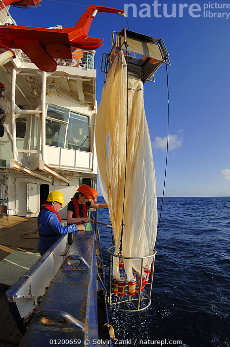 Stock photo of Sampling deepsea marine plankton from 1000m depth using ...
