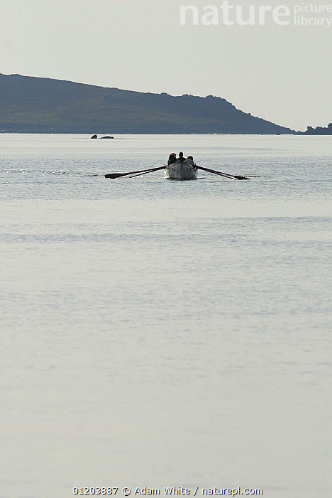 Stock photo of Gig rowing to start line, World Pilot Gig Championships ...