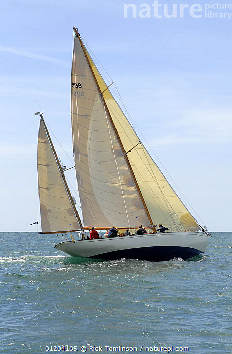 Stock photo of "Lutine" under sail during Round the Island Race, The ...