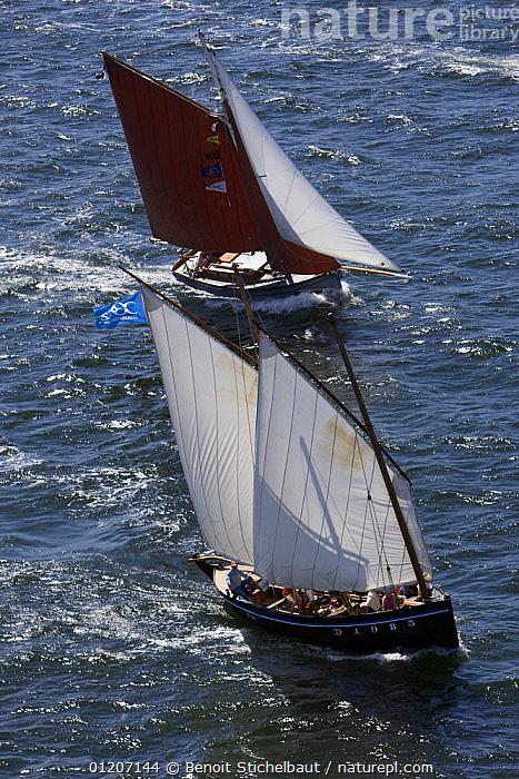 Stock photo of Sardine fishing boat "Telenn Mor" and Basque tuna ...
