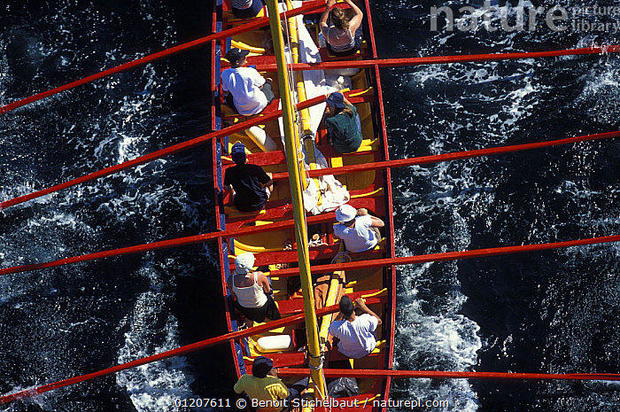 Stock photo of Crew rowing yole, Douarnenez Maritime Festival, France ...