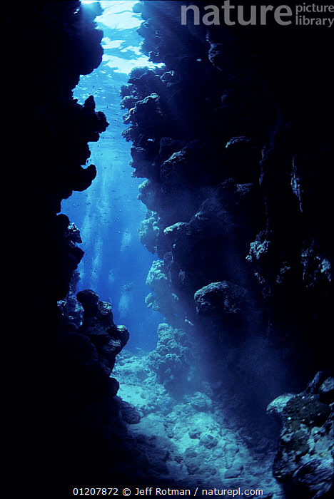 Stock photo of Entrance to coral reef cave with sunlight penetrating ...