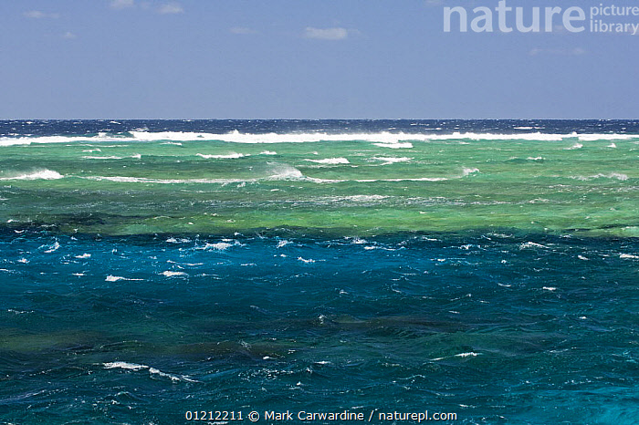 Stock photo of Seascape at Ribbon Reefs, Great Barrier Reef, Queensland ...
