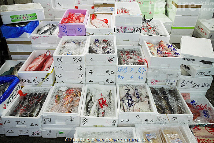Stock photo of Crates of frozen fish, Tsukiji fish market, Tokyo, Japan ...