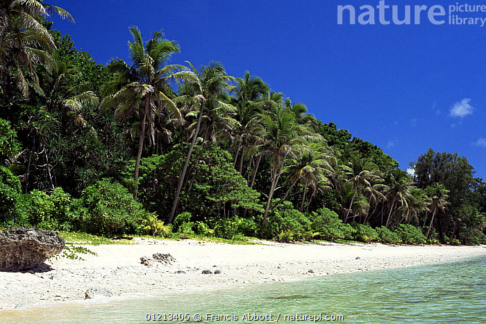 Stock photo of The beach at Ngemelis island, on the outer fringing ...