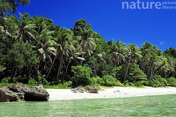 Stock photo of The beach at Ngemelis island, on the outer fringing ...