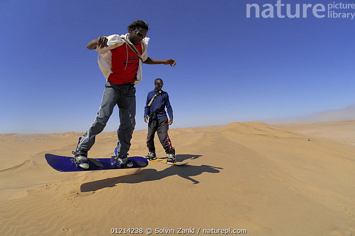 Stock photo of Sand boarding down a sand dune, near Swakopmund, Namib Desert, Namibia ...