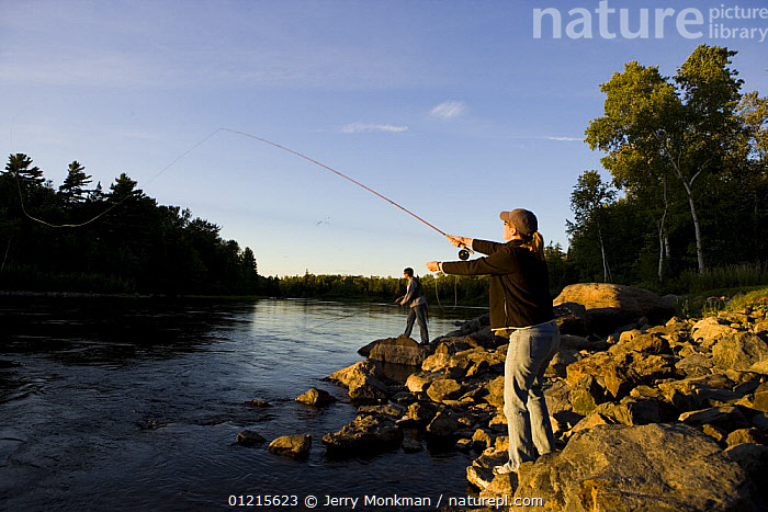 Stock photo of Fly-fishing on the Moose River below the dam on Brassua ...