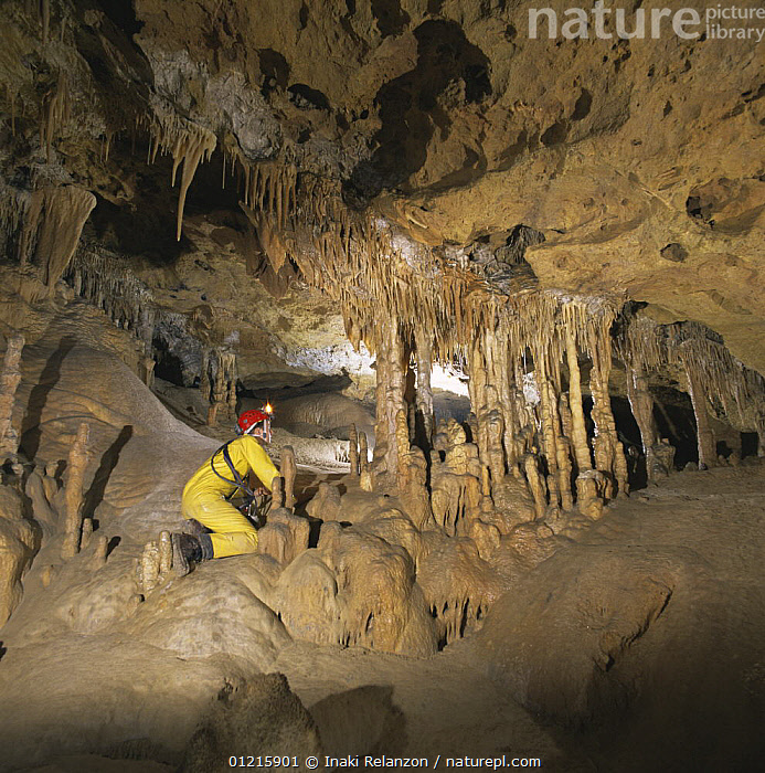 Stock photo of Potholer in cave examining stalactites and stalagmites ...