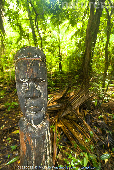 Stock photo of Coconut palm tree carving by the people of Rano Island ...
