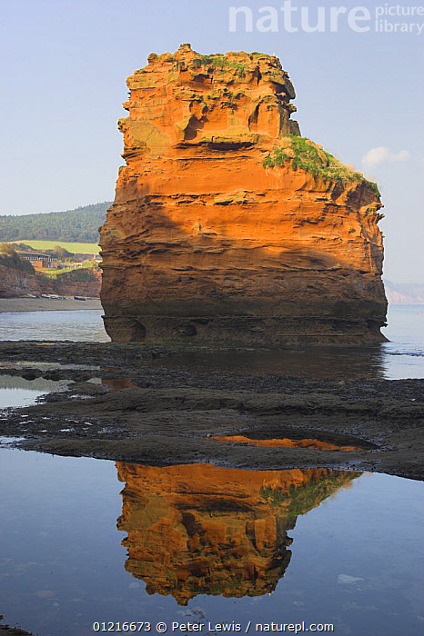 Stock photo of Sea stack reflected in rock pool, Ladram Bay, Devon, UK ...