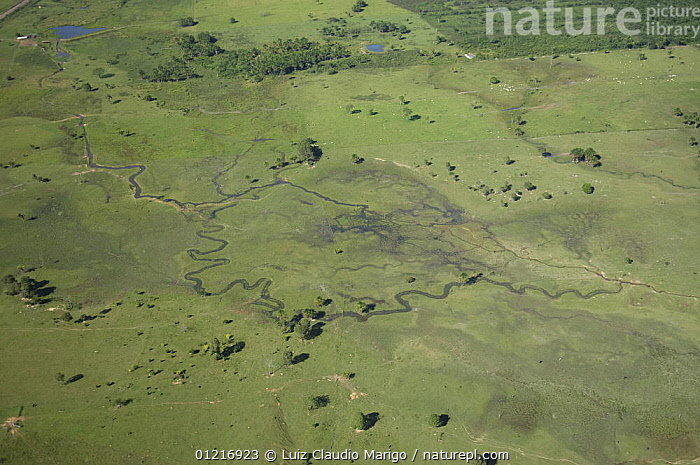 Stock photo of Aerial view of watercourse with its gallery rainforest ...