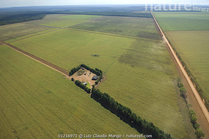 Stock photo of Aerial view of Soya bean plantations near Vilhena town ...